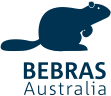 Bebras